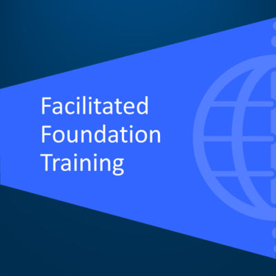 Facilitated Foundation Training - NL Consulting